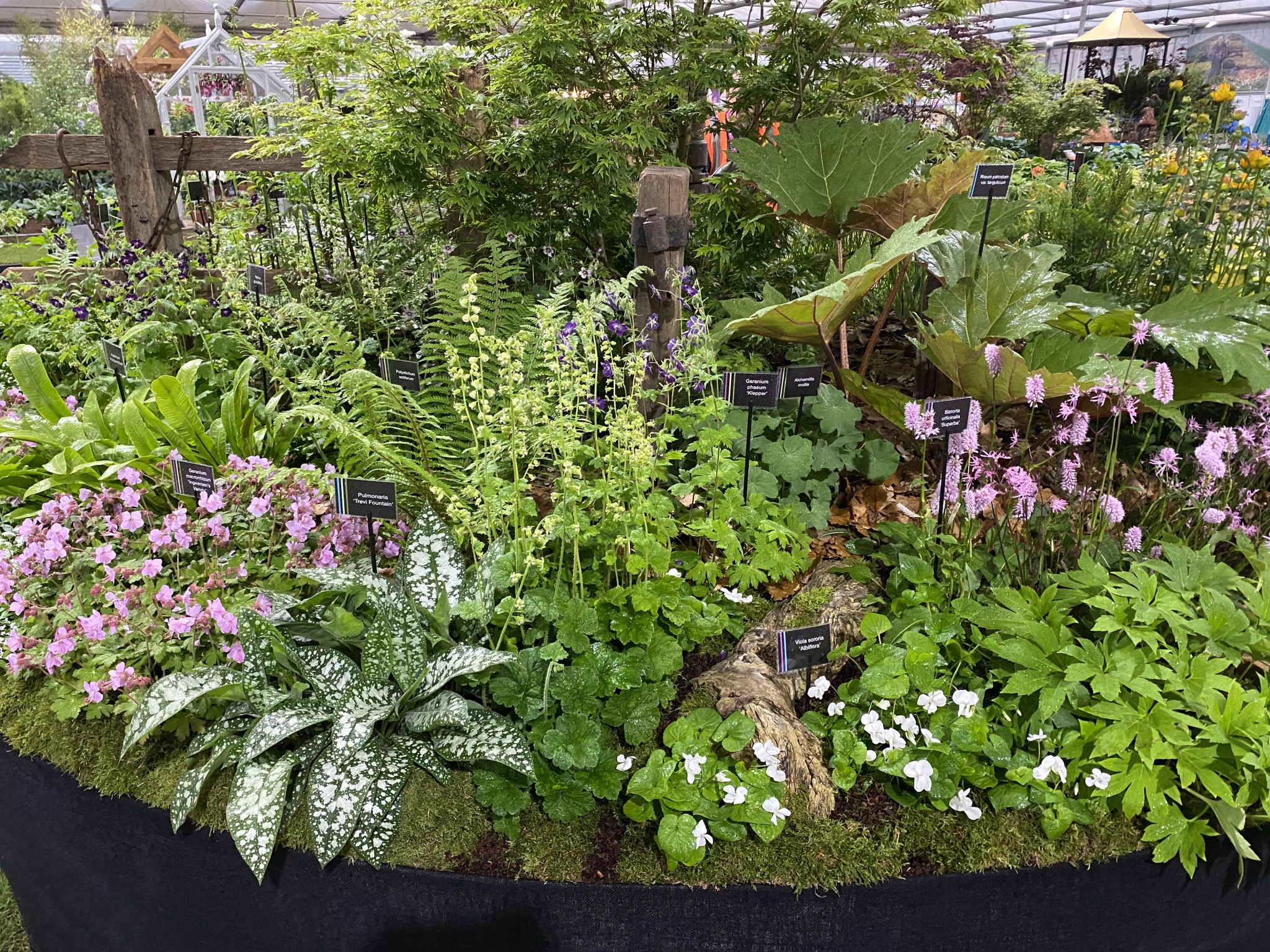 NEW! Hever Castle - Plant Fairs Roadshow